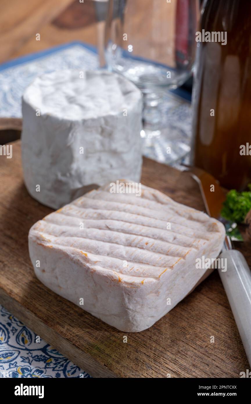 Cheese collection, Belgian soft yellow cow milk cheese with white mold ...