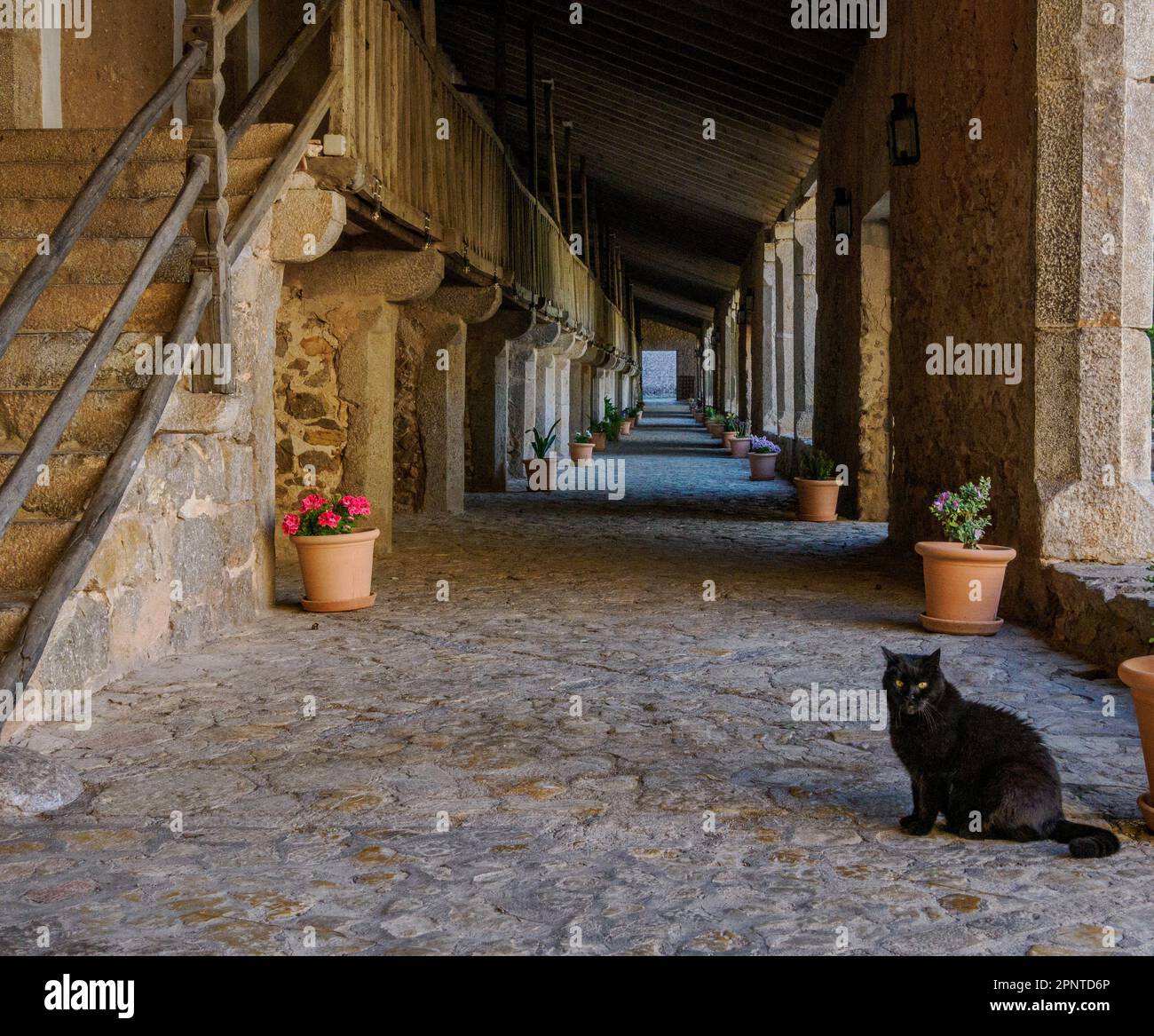 Lluc monastery hi-res stock photography and images - Alamy