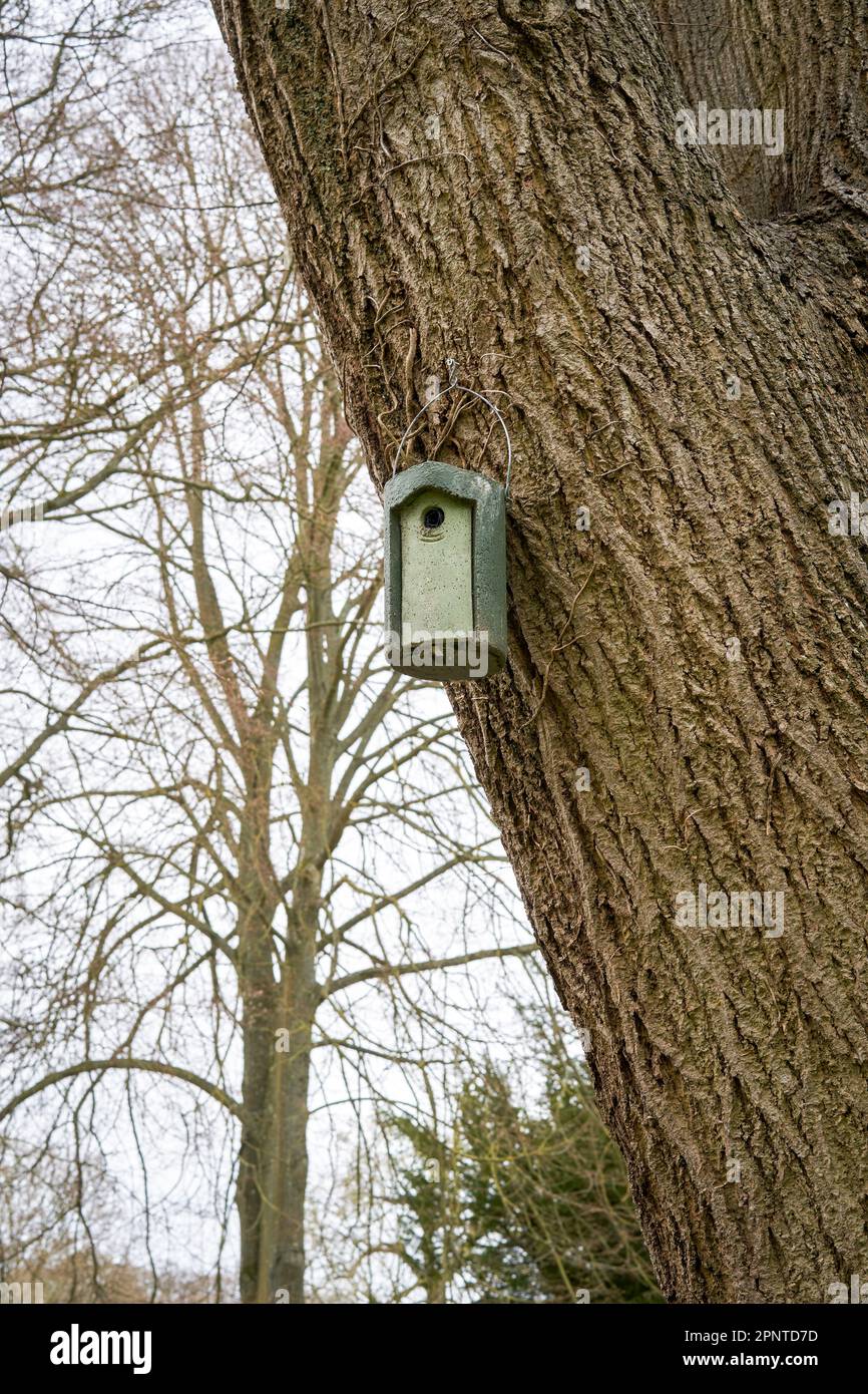 Small bird nesting box attached to a tree Stock Photo - Alamy