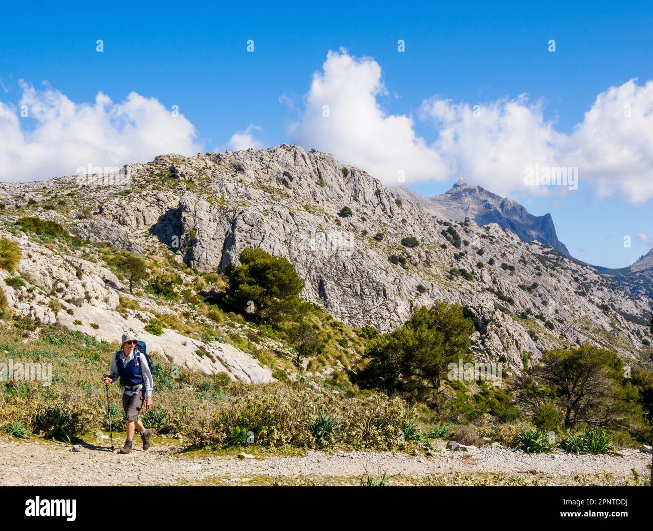 Walker reaching the apex of the Coll de l'Ofre on the GR221 Drystone ...