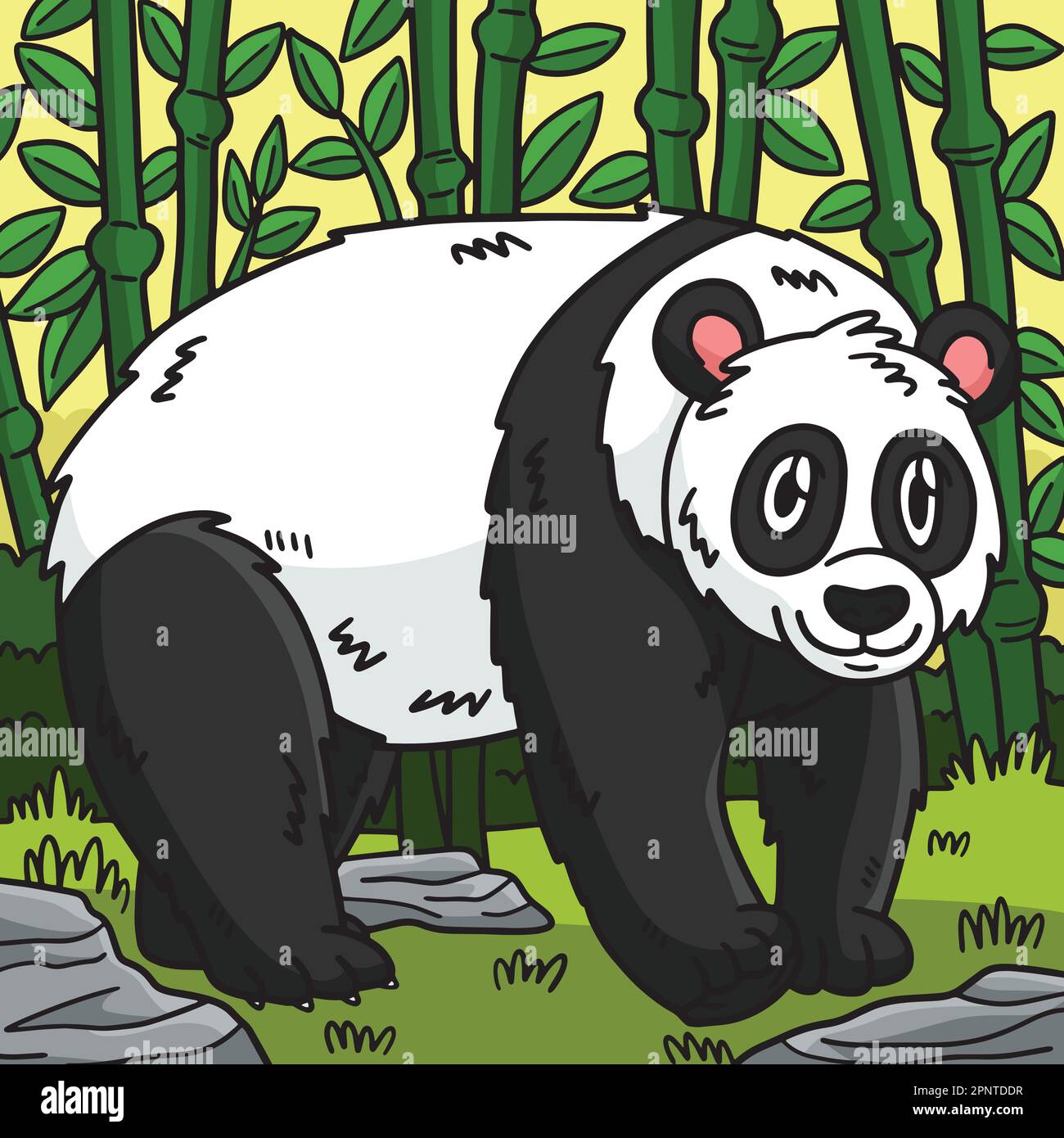Panda Animal Colored Cartoon Illustration Stock Vector Image & Art - Alamy