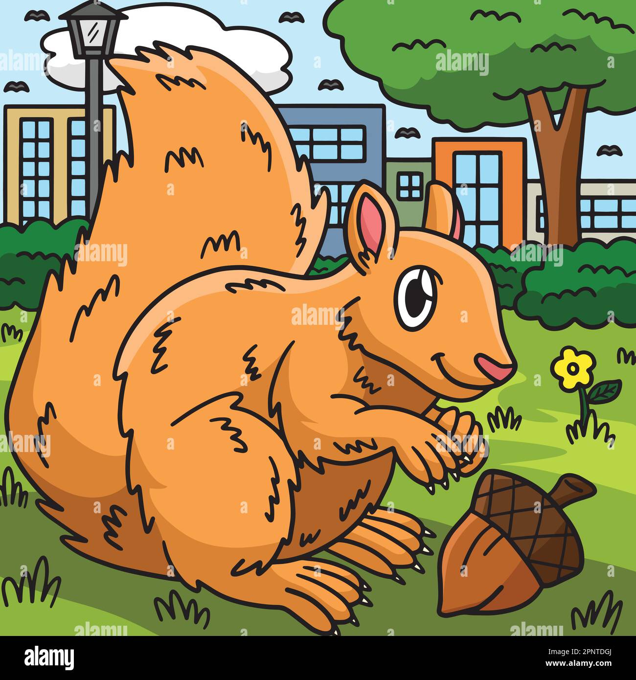 Squirrel Animal Colored Cartoon Illustration Stock Vector Image & Art ...