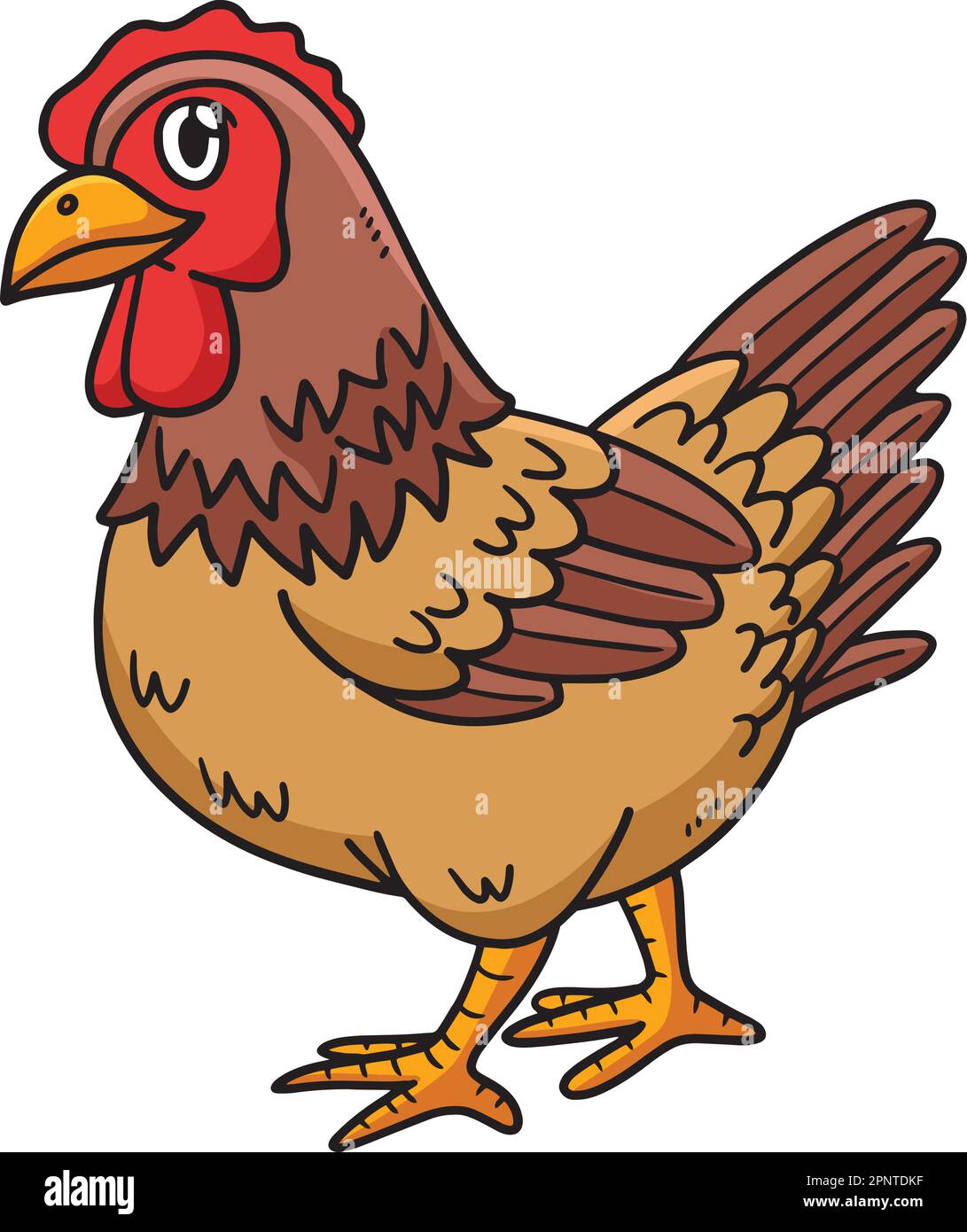 Cartoon Chicken Clip Art 37,389 Chicken Clip Art Royalty Free Photos