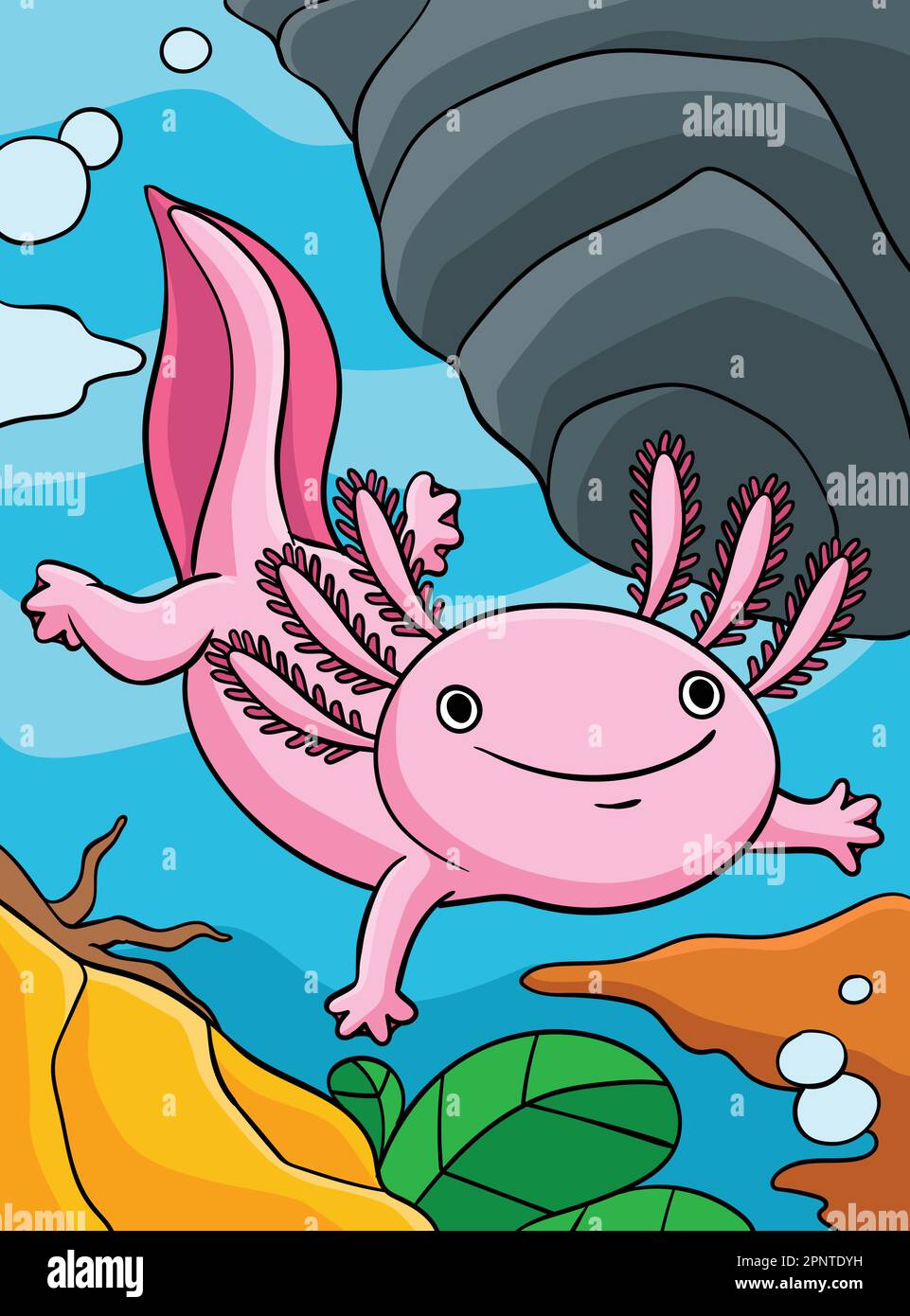 Axolotl Animal Colored Cartoon Illustration Stock Vector Image & Art ...