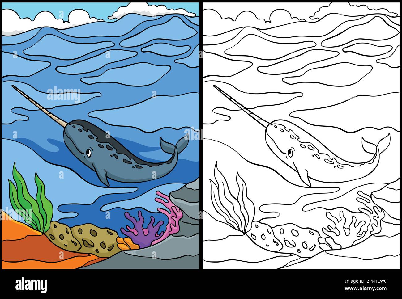 Narwhal Coloring Page Colored Illustration Stock Vector Image & Art - Alamy
