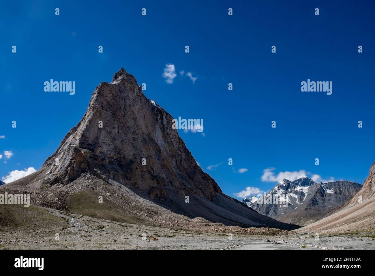 Gumbok rangan hi-res stock photography and images - Alamy