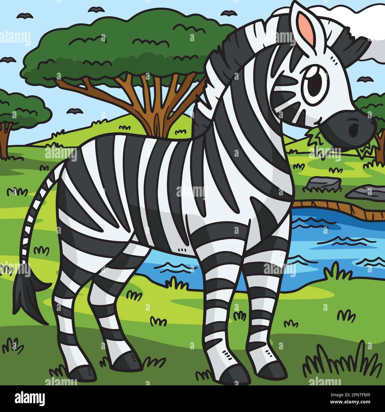 Zebra Animal Colored Cartoon Illustration Stock Vector Image & Art - Alamy