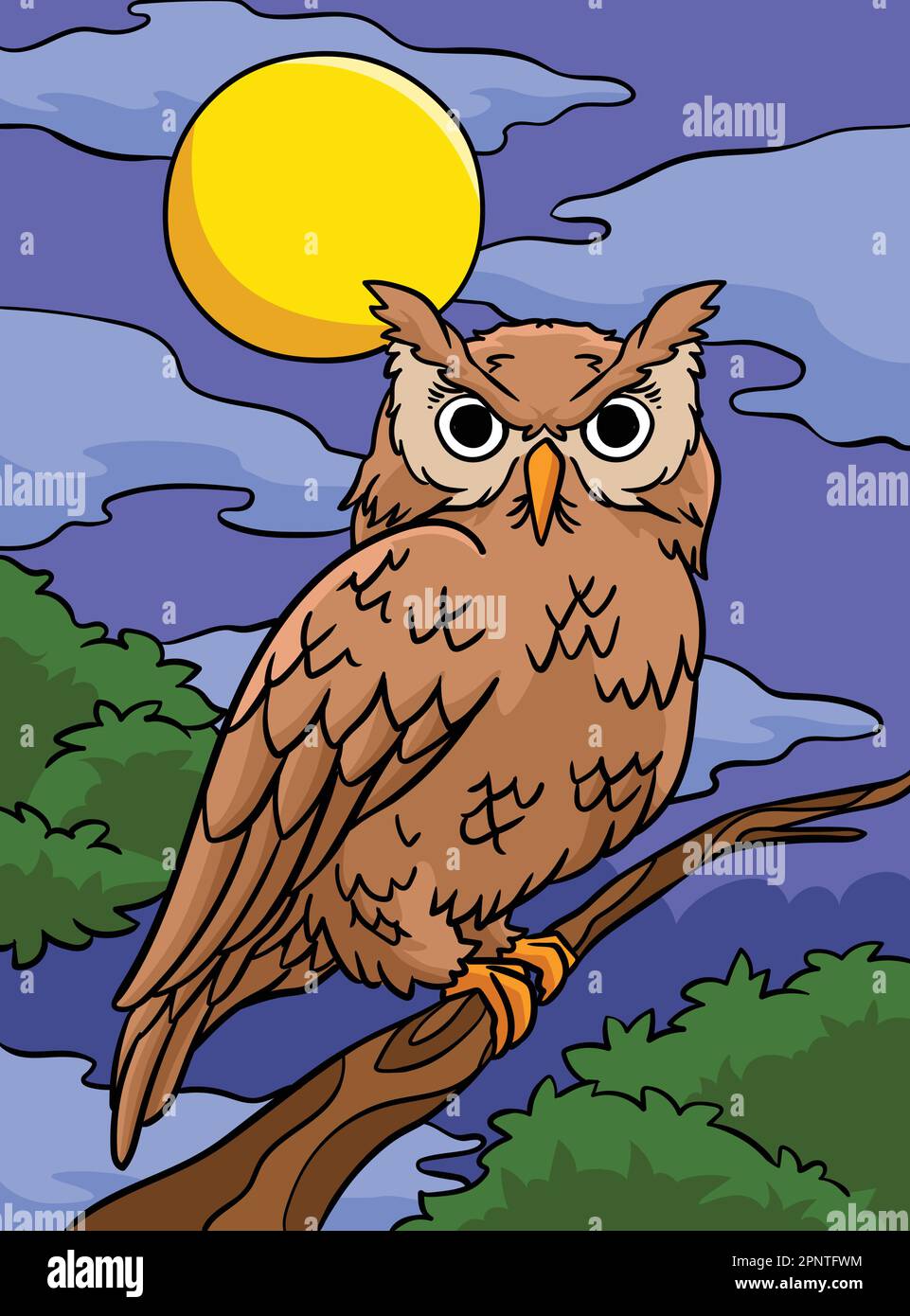 Owl Animal Colored Cartoon Illustration Stock Vector Image & Art - Alamy