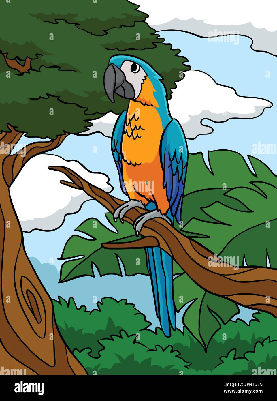 Parrot Animal Colored Cartoon Illustration Stock Vector Image & Art - Alamy