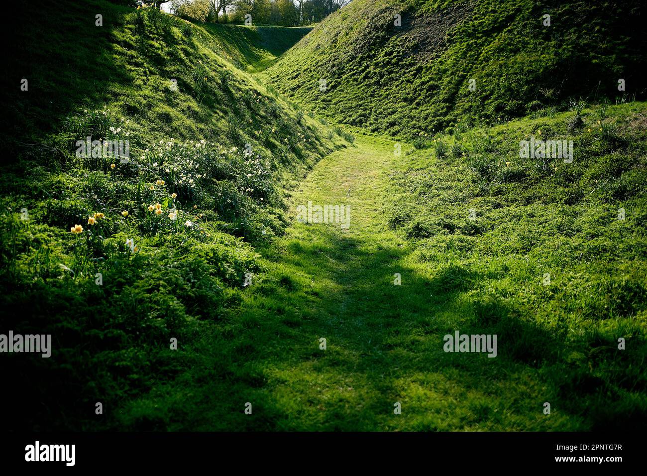 The moat at Castle Rising Stock Photo - Alamy