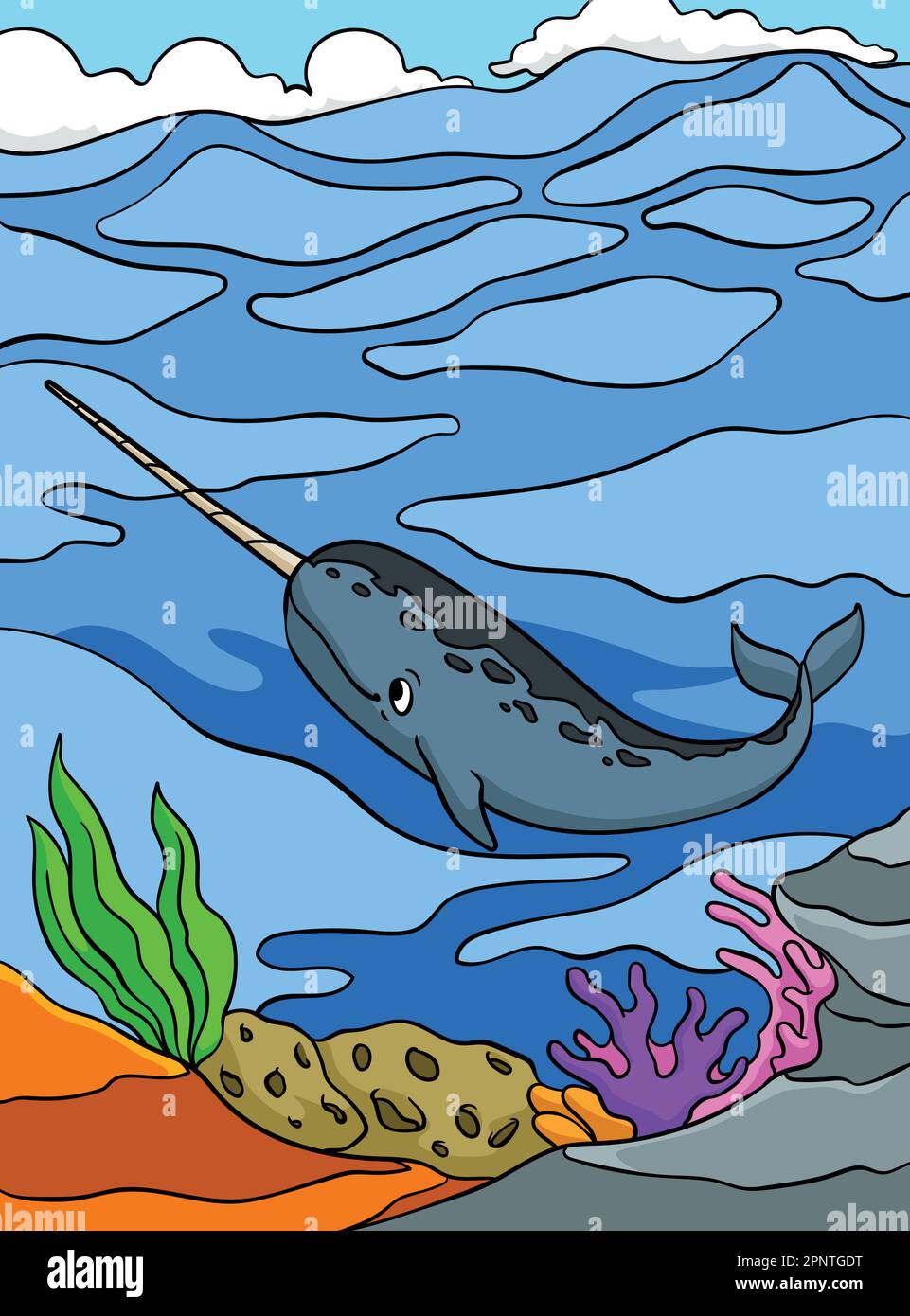 Narwhal Animal Colored Cartoon Illustration Stock Vector Image & Art ...