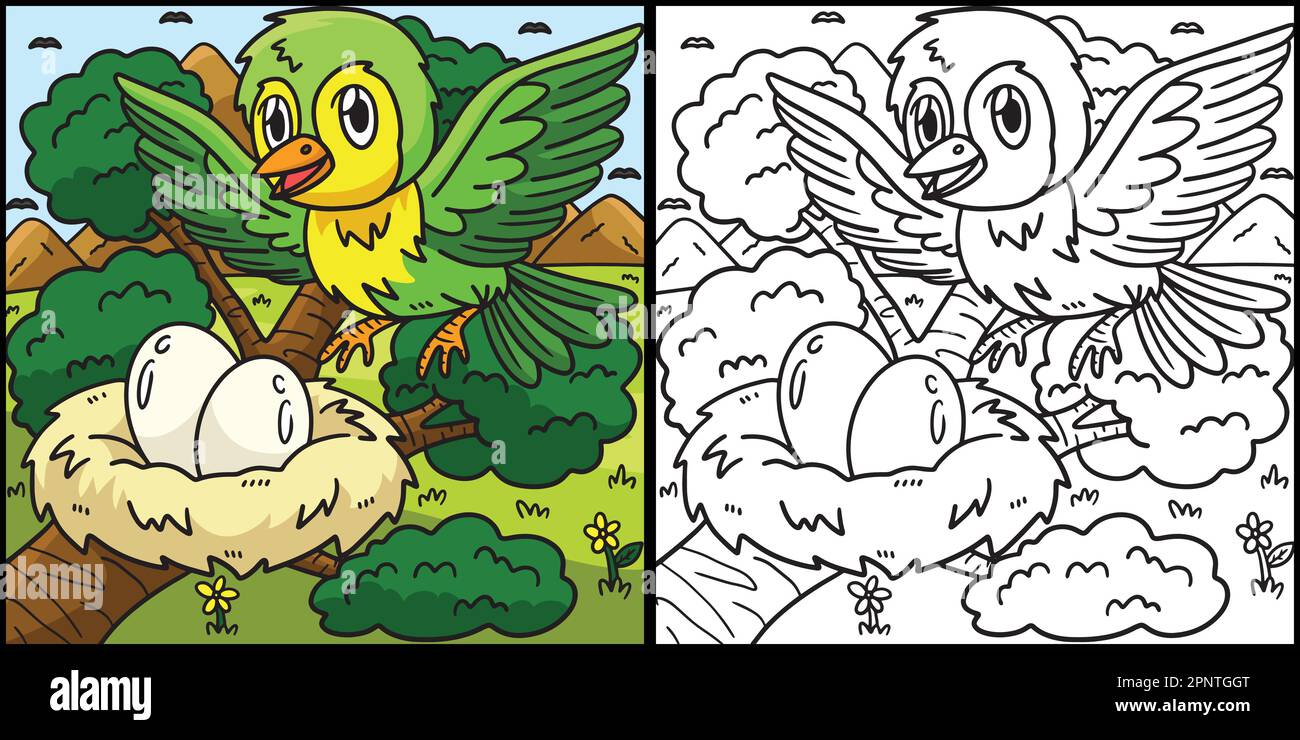 Bird Coloring Page Colored Illustration Stock Vector Image & Art - Alamy