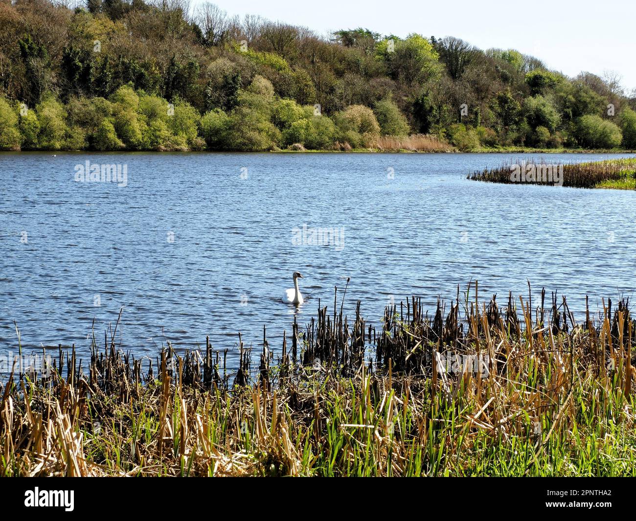 Quoile hi-res stock photography and images - Alamy