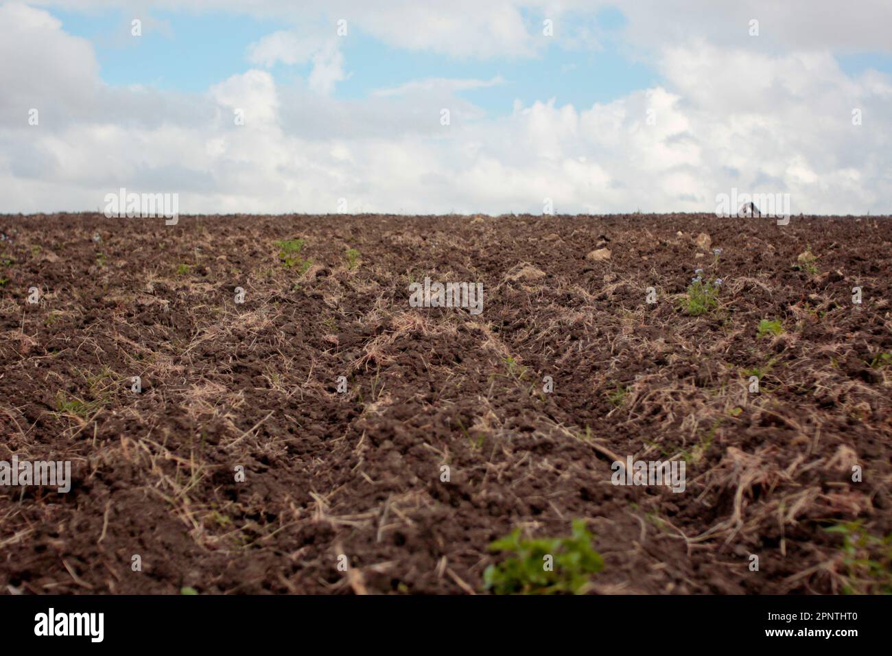 Land ready hi-res stock photography and images - Alamy