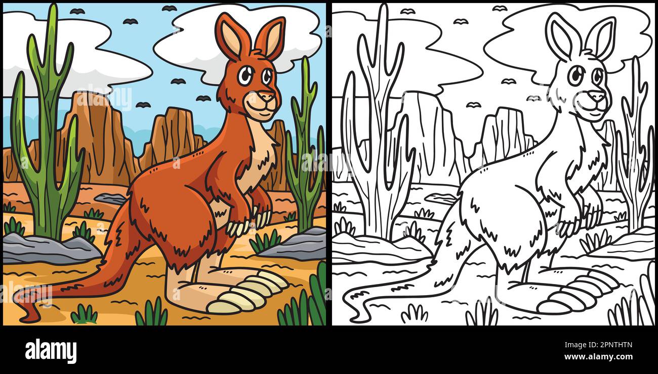 Kangaroo Coloring Page Colored Illustration Stock Vector Image & Art ...