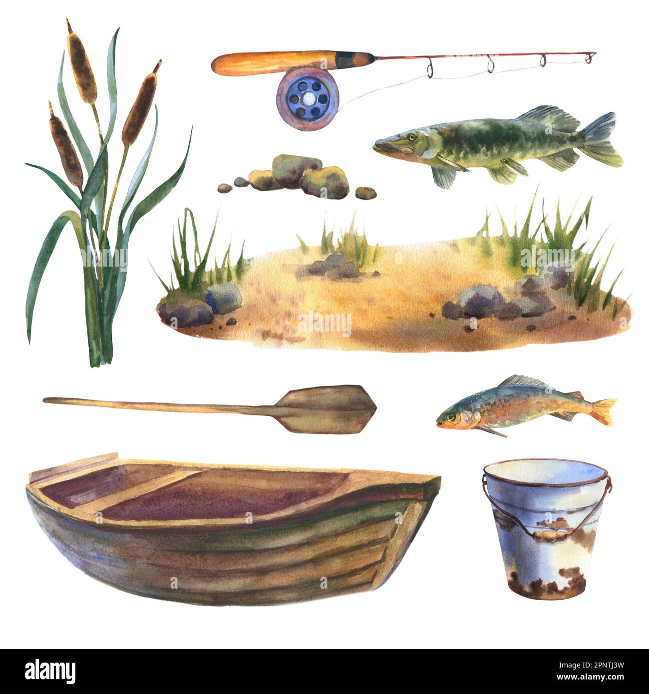 Watercolor illustration, set of the fishing, wooden boat, fish carp ...