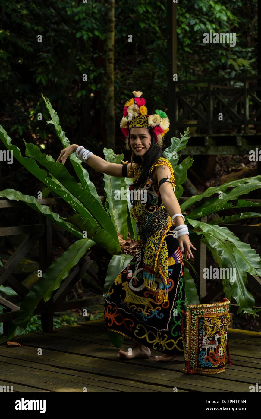 Exquisite elegance in traditional attire: A Borneo lady showcasing the ...