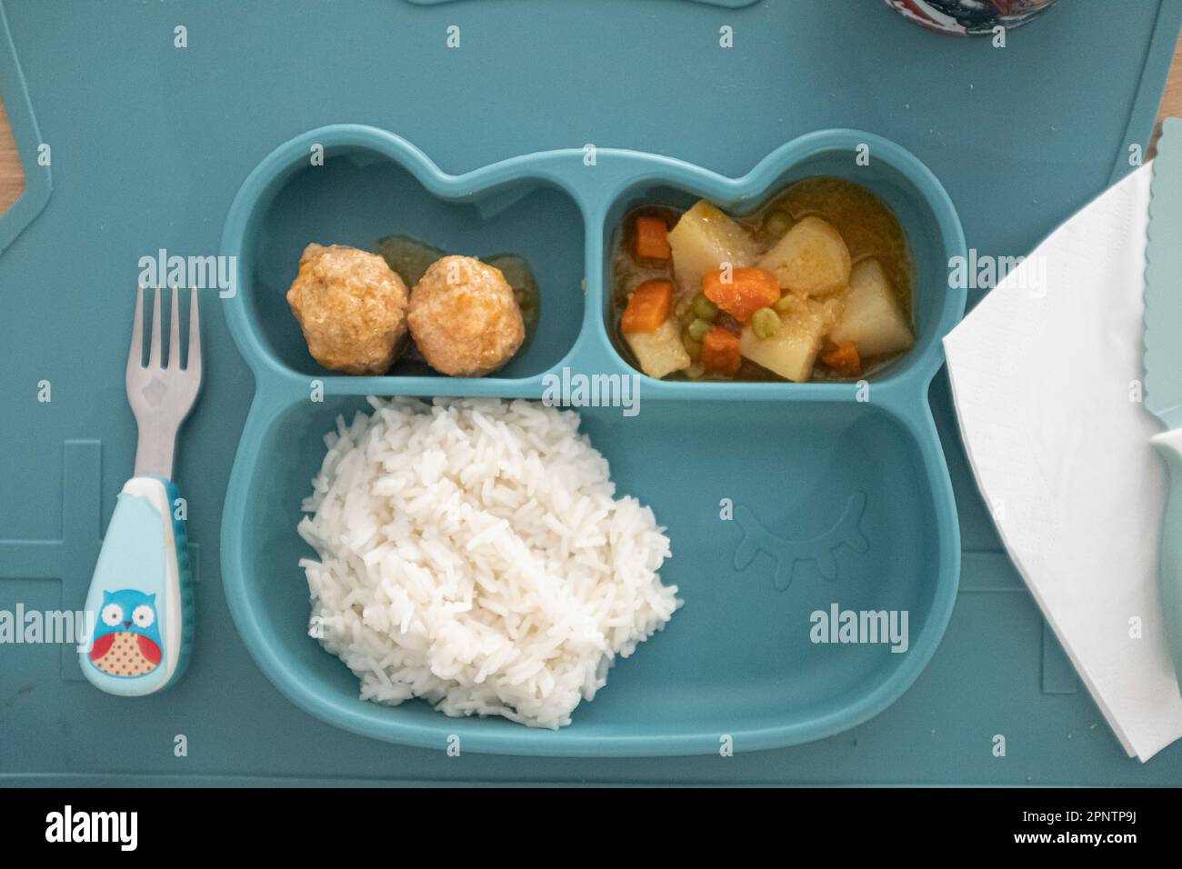 Rice, meatballs and vegetables in a blue toy food recipient on a great ...