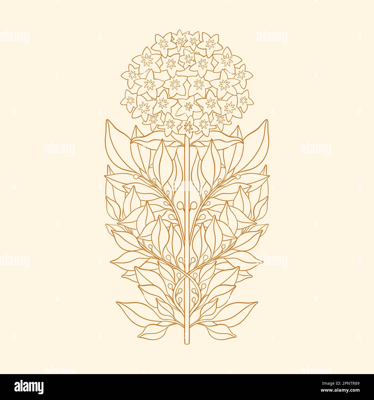 Opulence vector vectors hi-res stock photography and images - Alamy