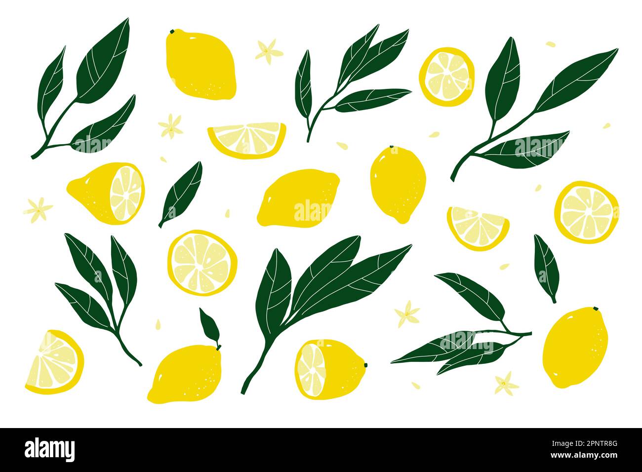 Lemon set. Hand-drawn lemons isolated on a white background. Slice, halves, whole fruit, leaves ...