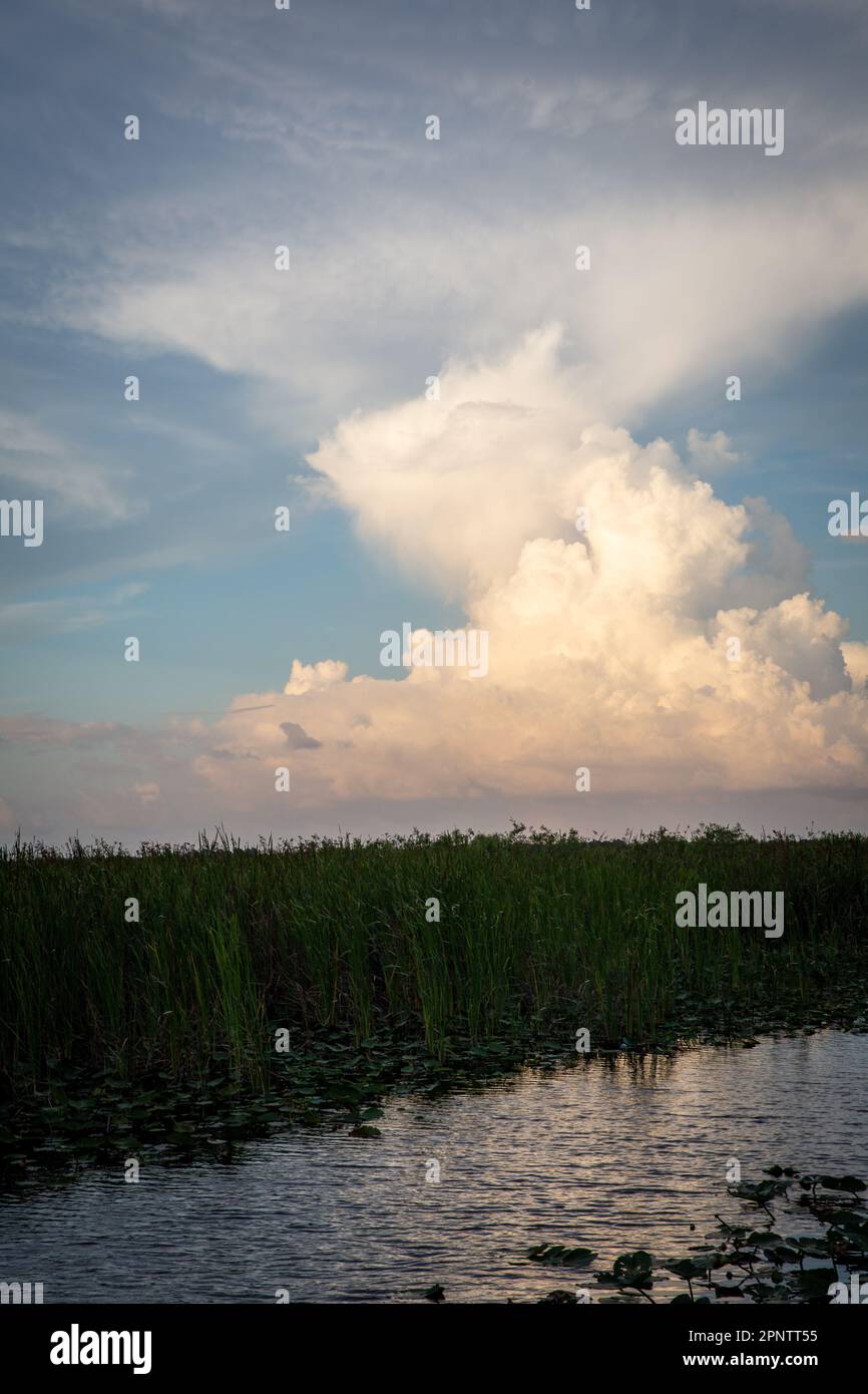 Storm in the Horizon over the Everglades shot vertically Stock Photo ...