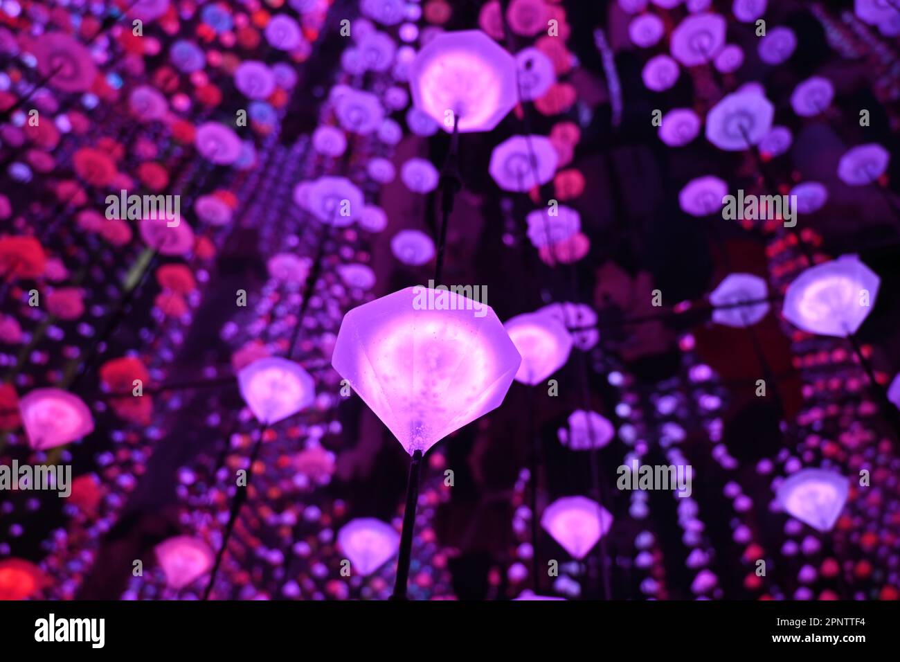 Diamond shaped lights inside Moco Museum Barcelona Stock Photo - Alamy