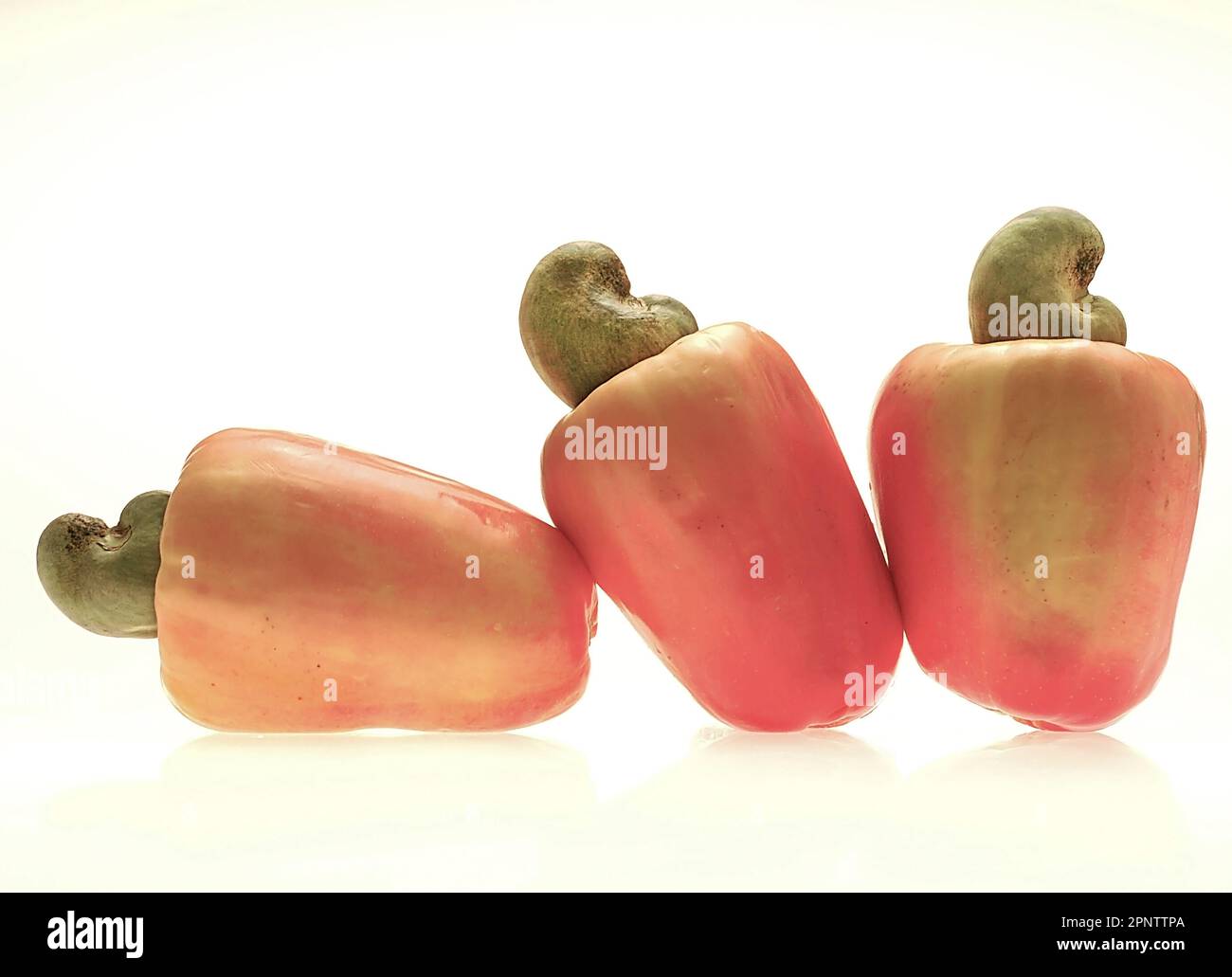 The smaller part is the fruit itself, which is the chestnut consumed ...