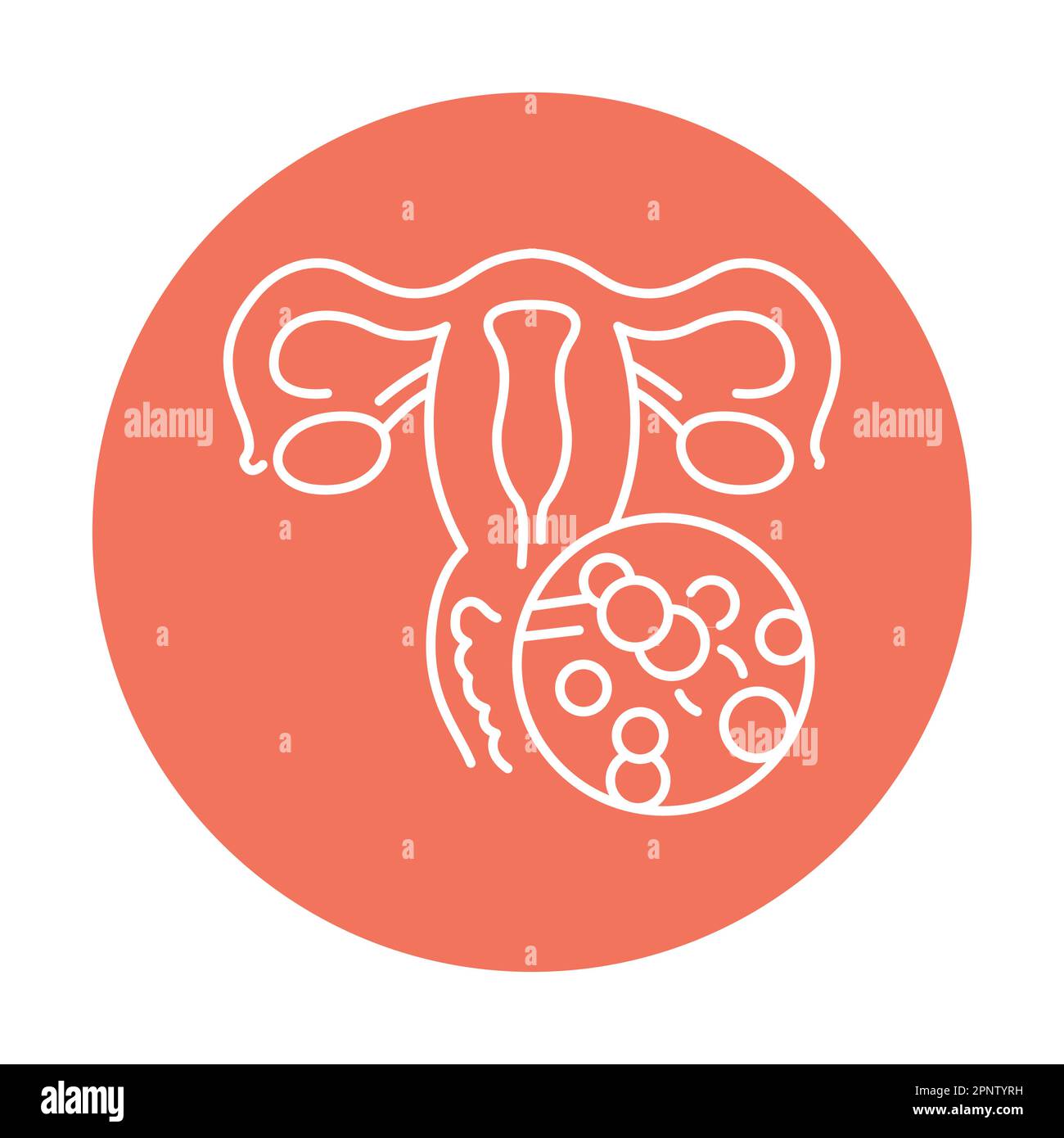 Candida fungi albicans color line icon. Human diseases. Pictogram for ...