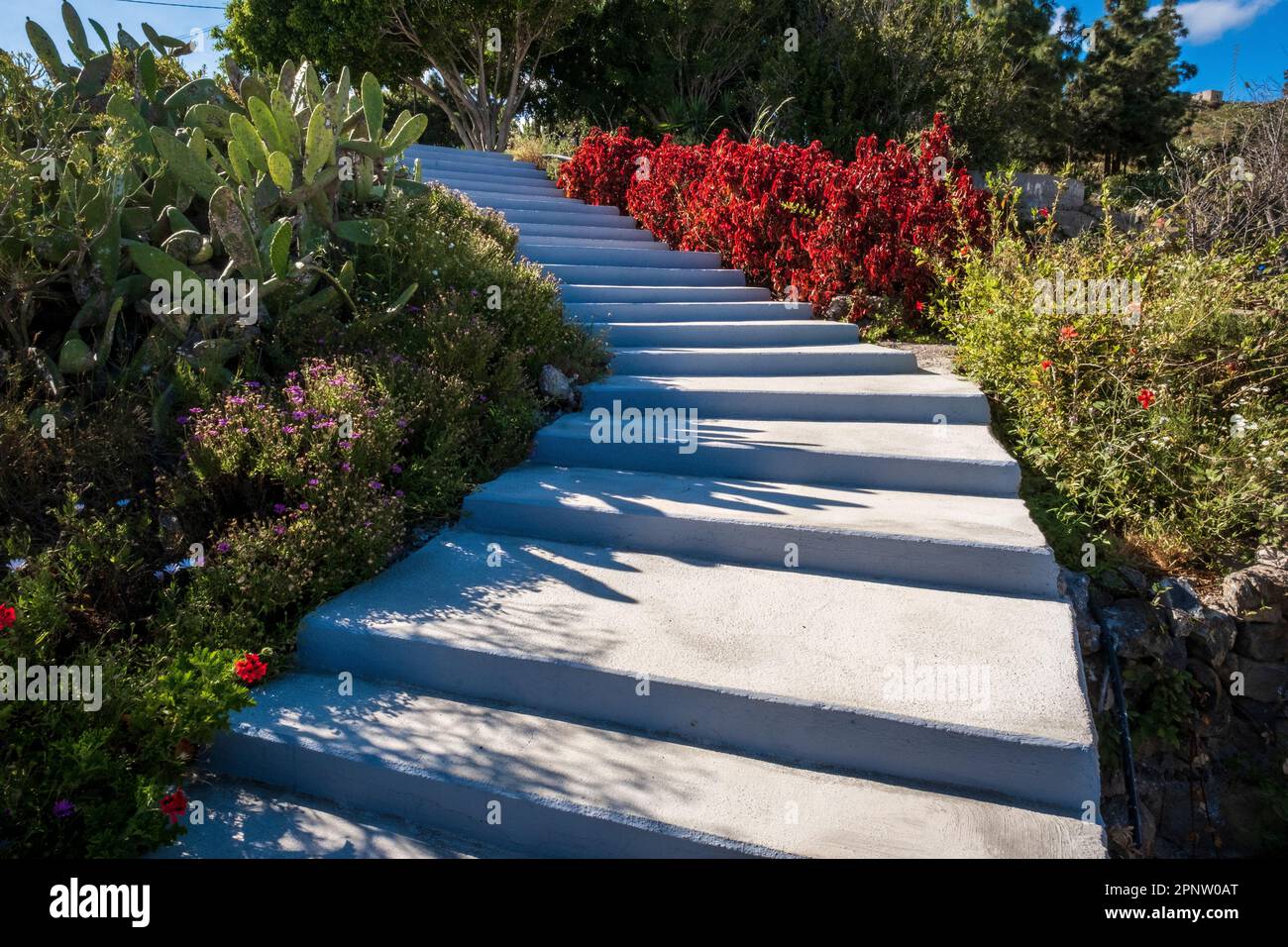 Arona, Tenerife, Canary Islands -- winding steps in a garden Stock ...