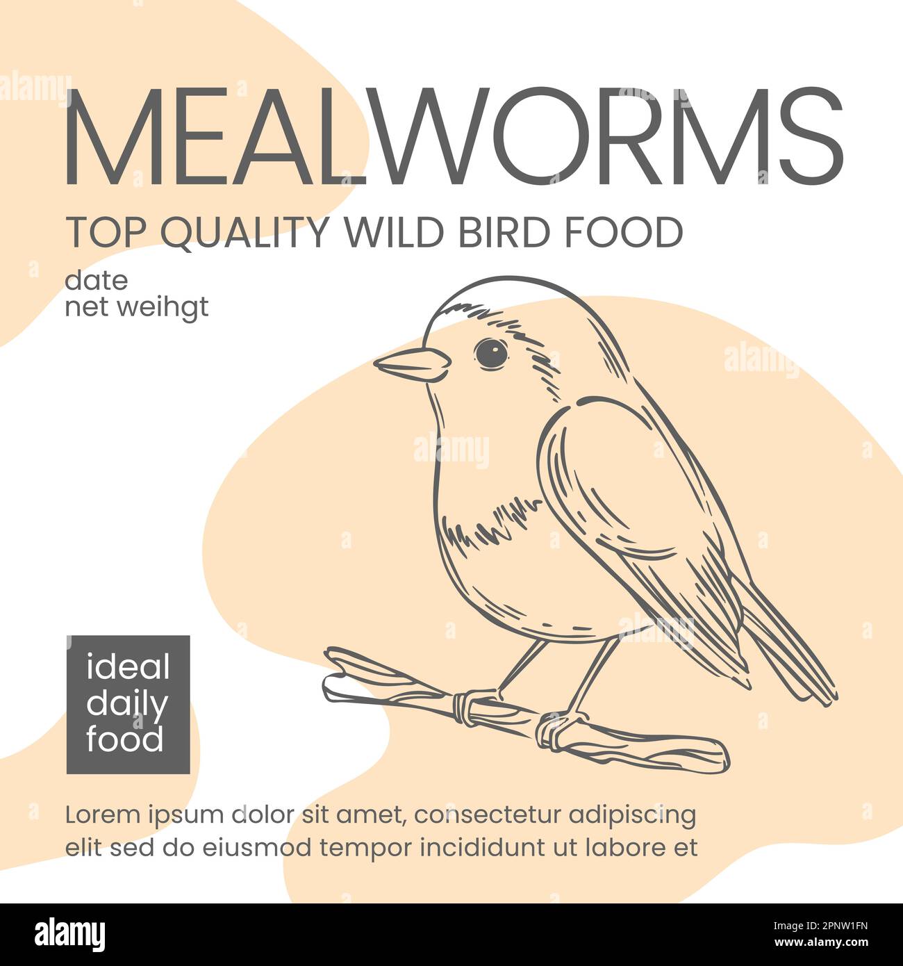 MEALWORMS FOR BIRDS Sketch Robin On Branch Vector Illustration Modern ...