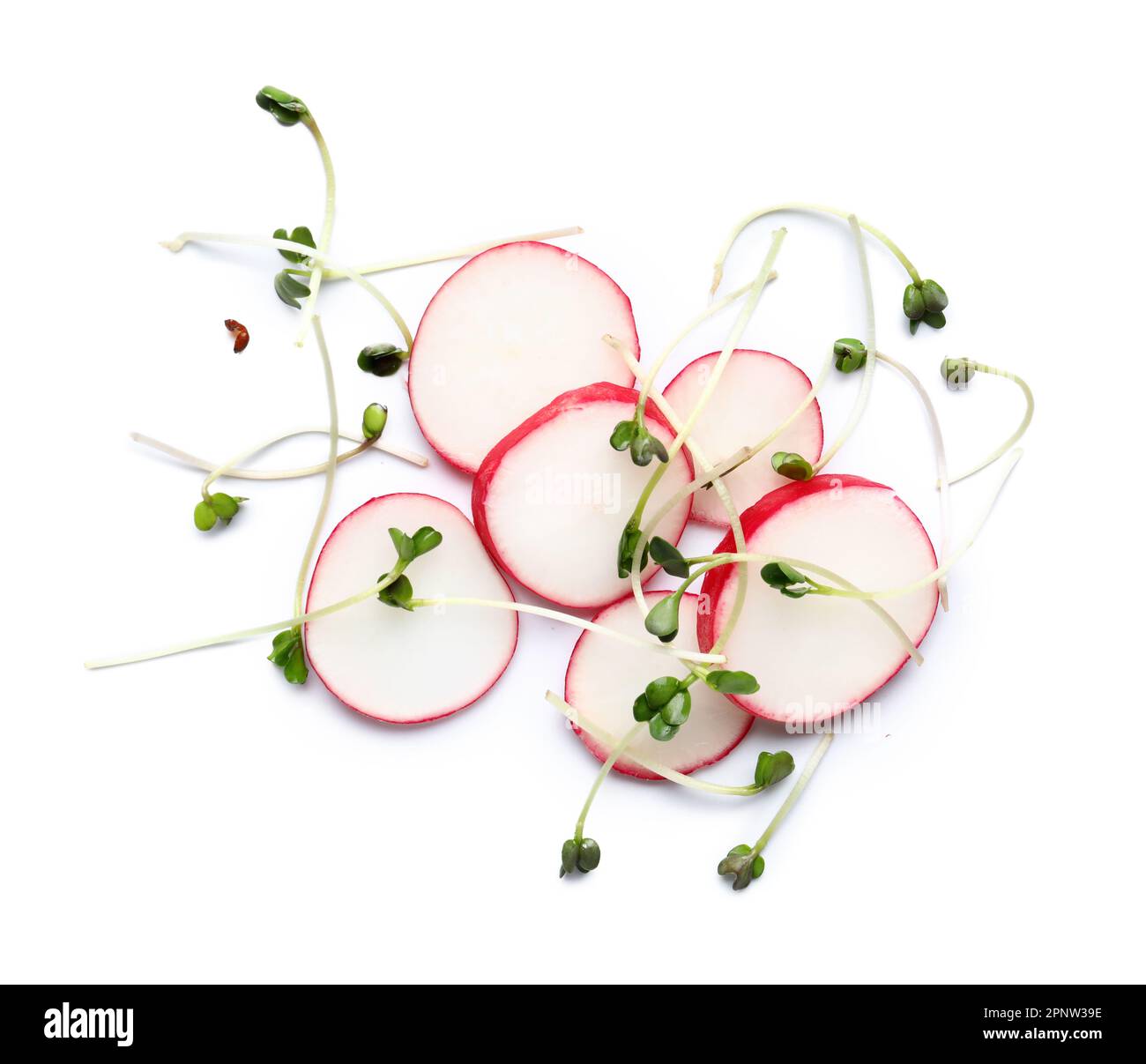 Slices of fresh radish and microgreens isolated on white background ...