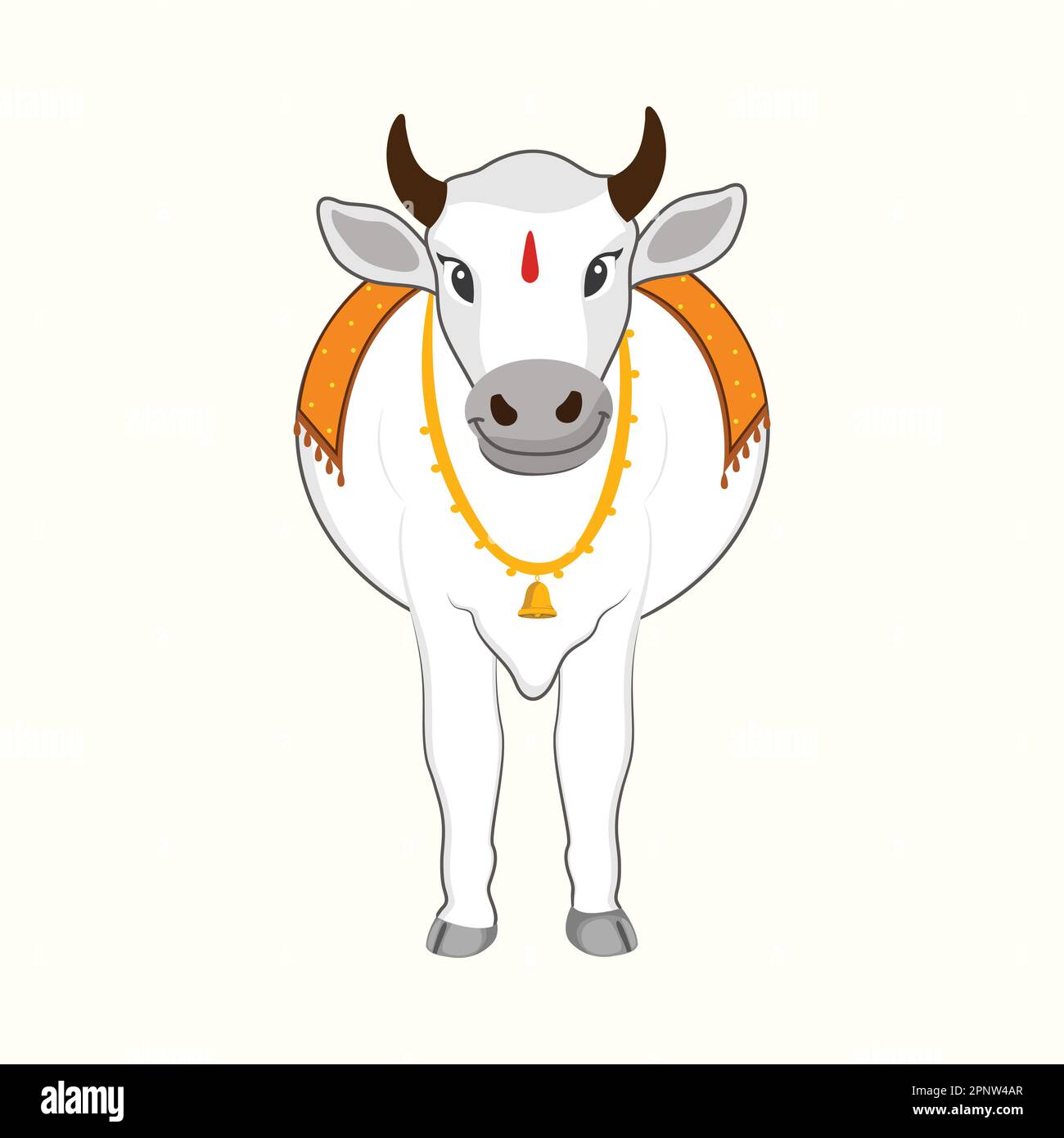 Front View Of Isolated Bull Or Cow Standing On White Background Stock ...