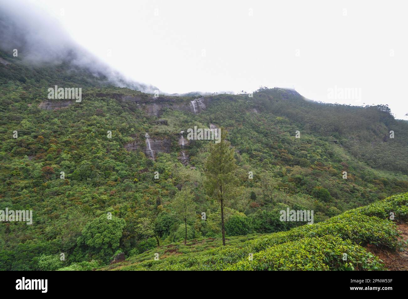 Adam's peak bell hi-res stock photography and images - Alamy