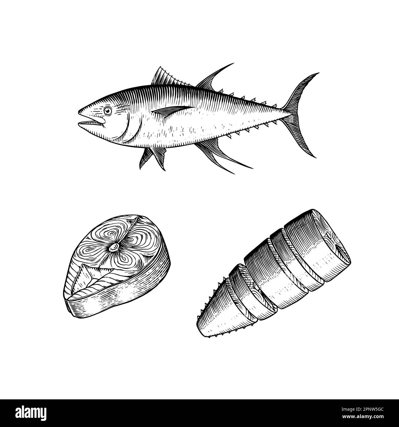 Tuna seafood. Fishes sketch. Retro ink style. Freshwater river fish ...