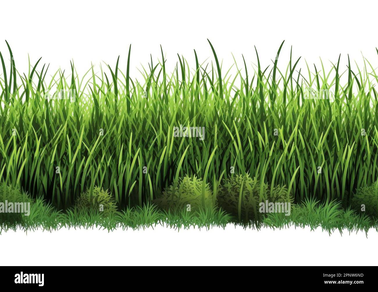 Clean seamless tileable grass texture hi-res stock photography and ...