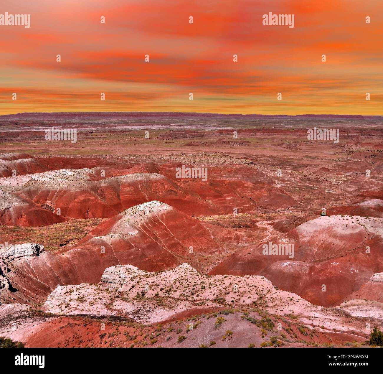 Sunset scenic landscape of ancient petrified forest in Arizona Stock ...