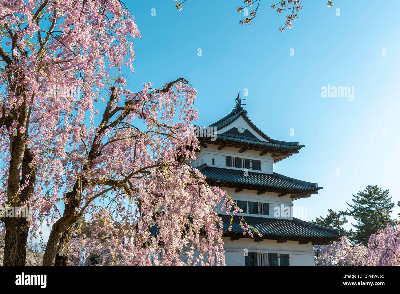 The beautiful scenery of Hiroksaki Castle in the spring Stock Photo - Alamy