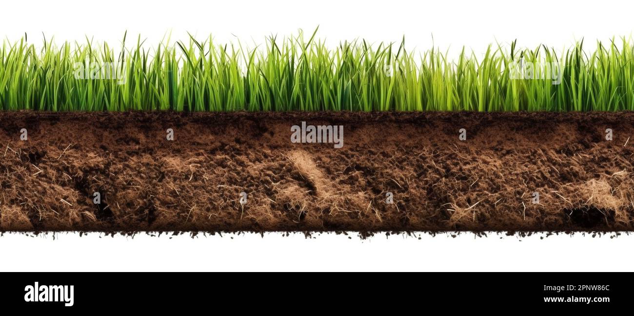 Clean seamless tileable grass texture hi-res stock photography and ...