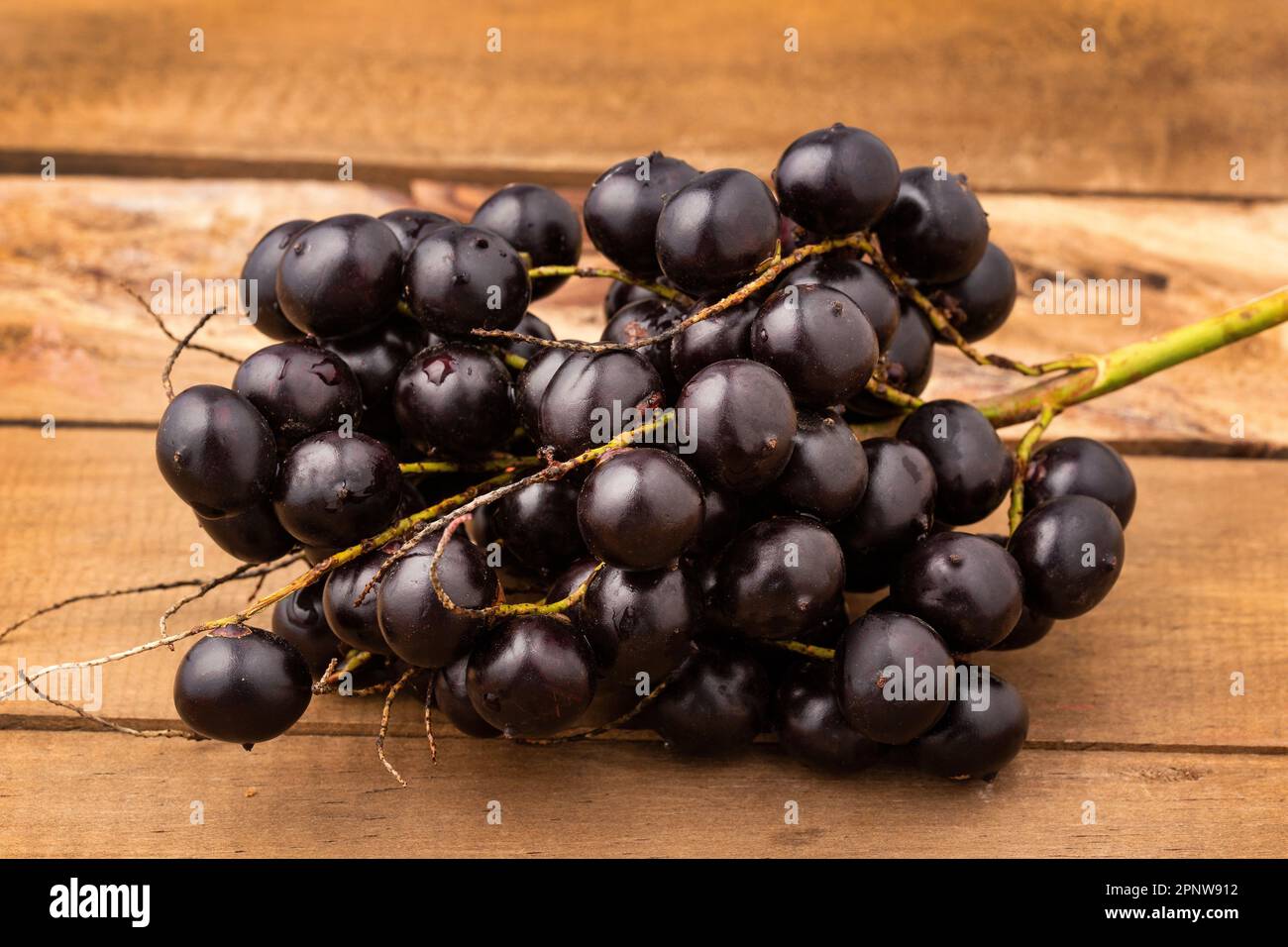 Fresh organic acai berries - Euterpe oleracea Stock Photo - Alamy