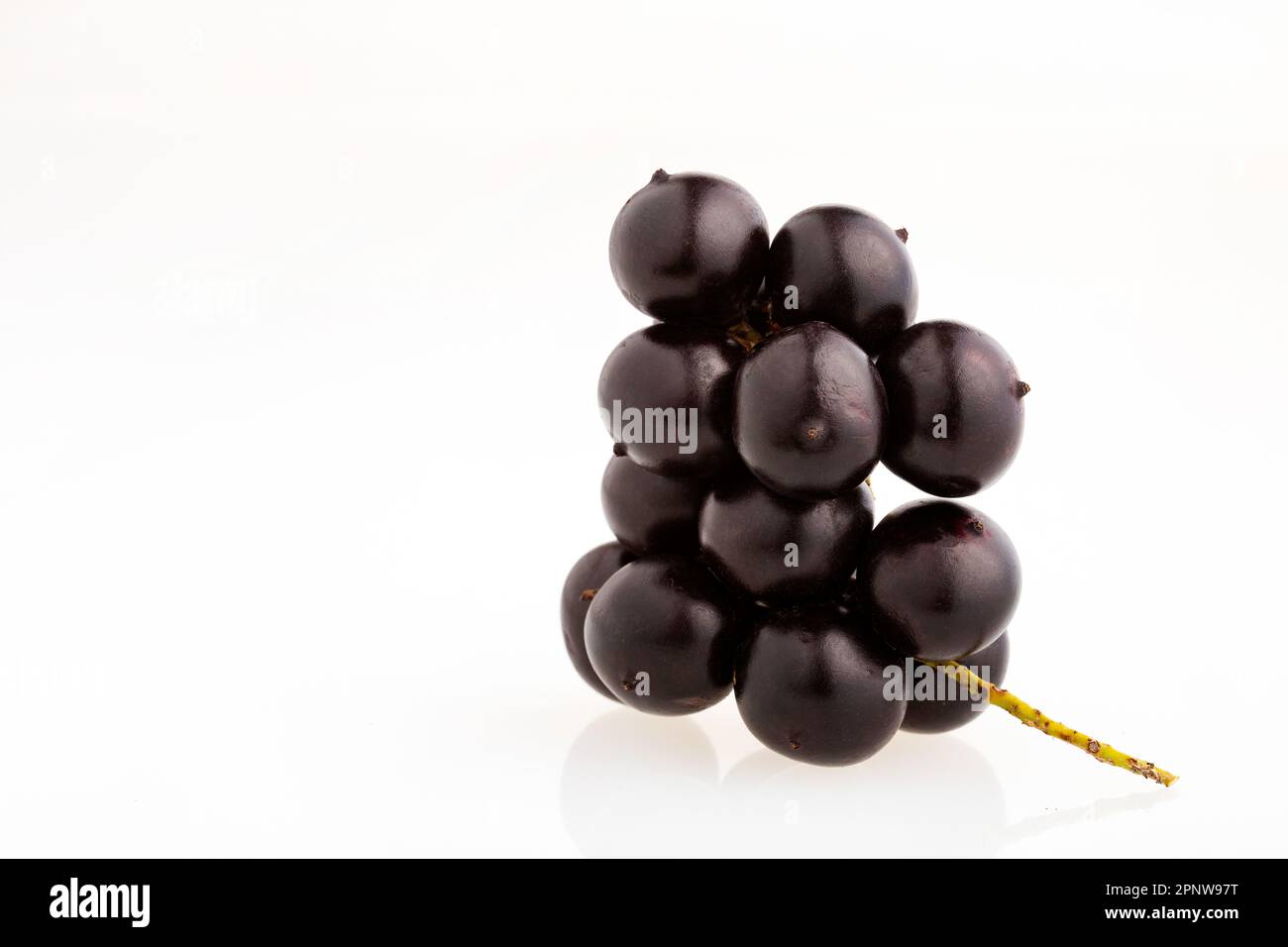 Acai berries tree hi-res stock photography and images - Alamy