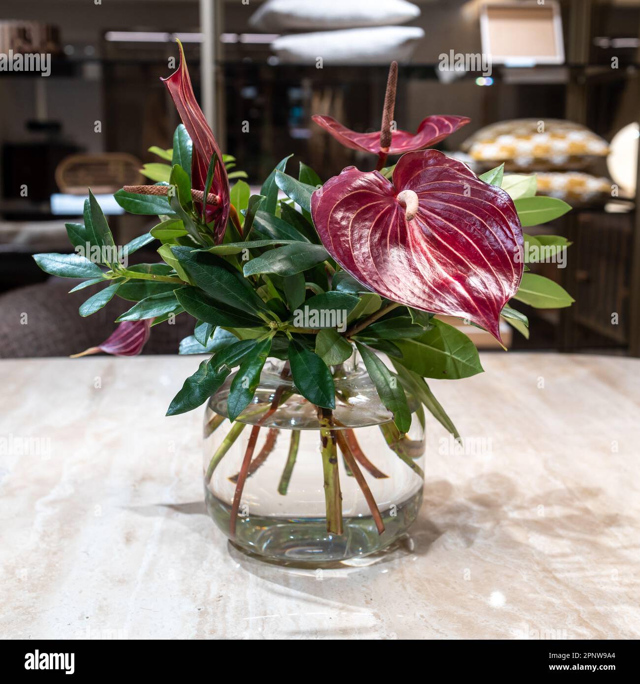 A bouquet of artificial Anthurium flowers in a transparent vase on the ...
