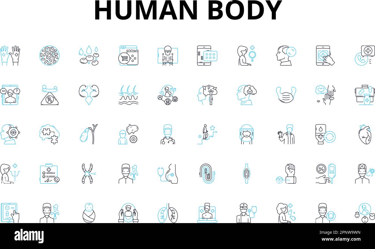 Human body linear icons set. Anatomy, Physiology, Organs, Muscles ... Human body linear icons set. Anatomy, Physiology, Organs, Muscles ...