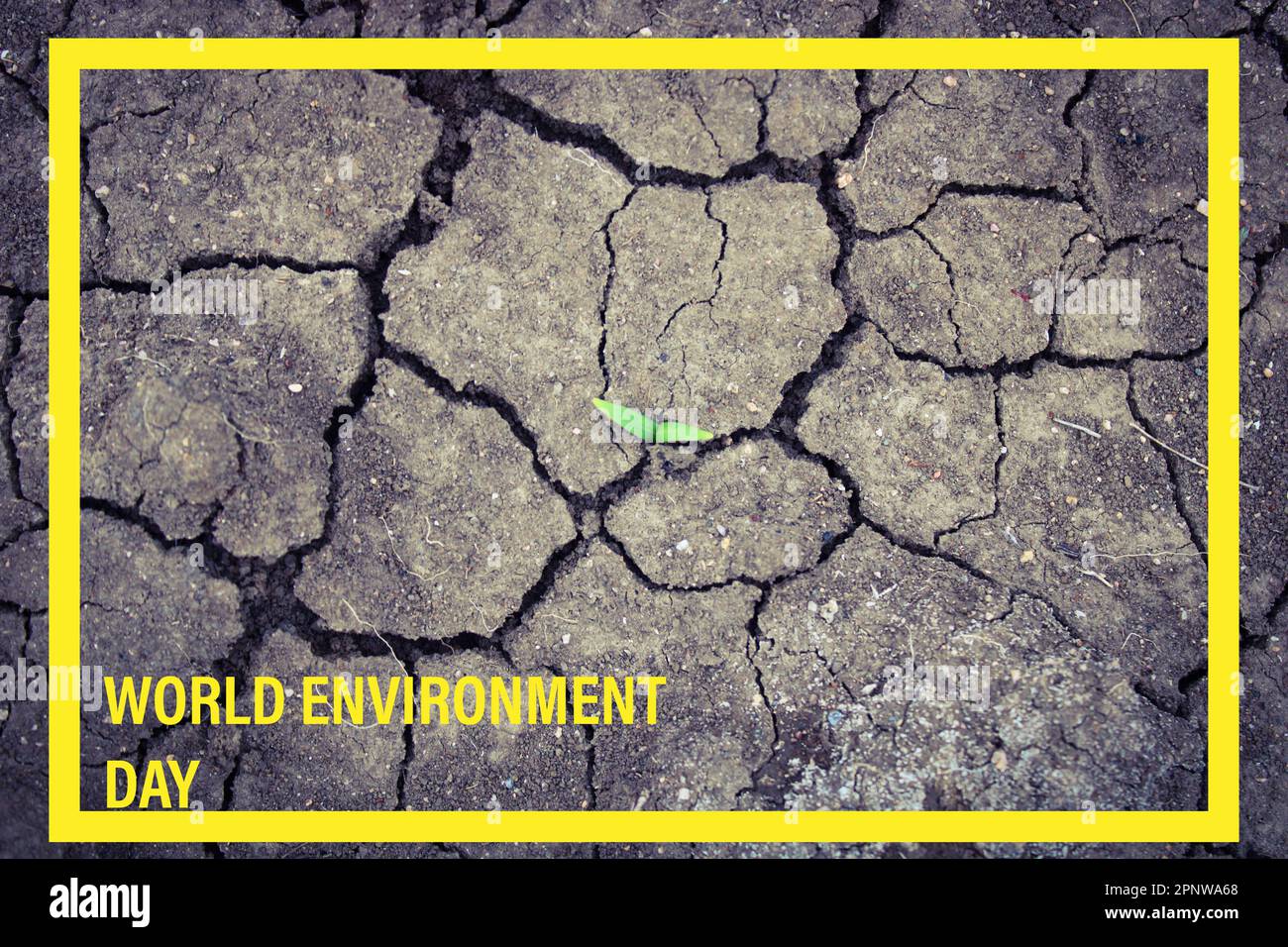 A cross on a cracked ground with the words world environment day ...