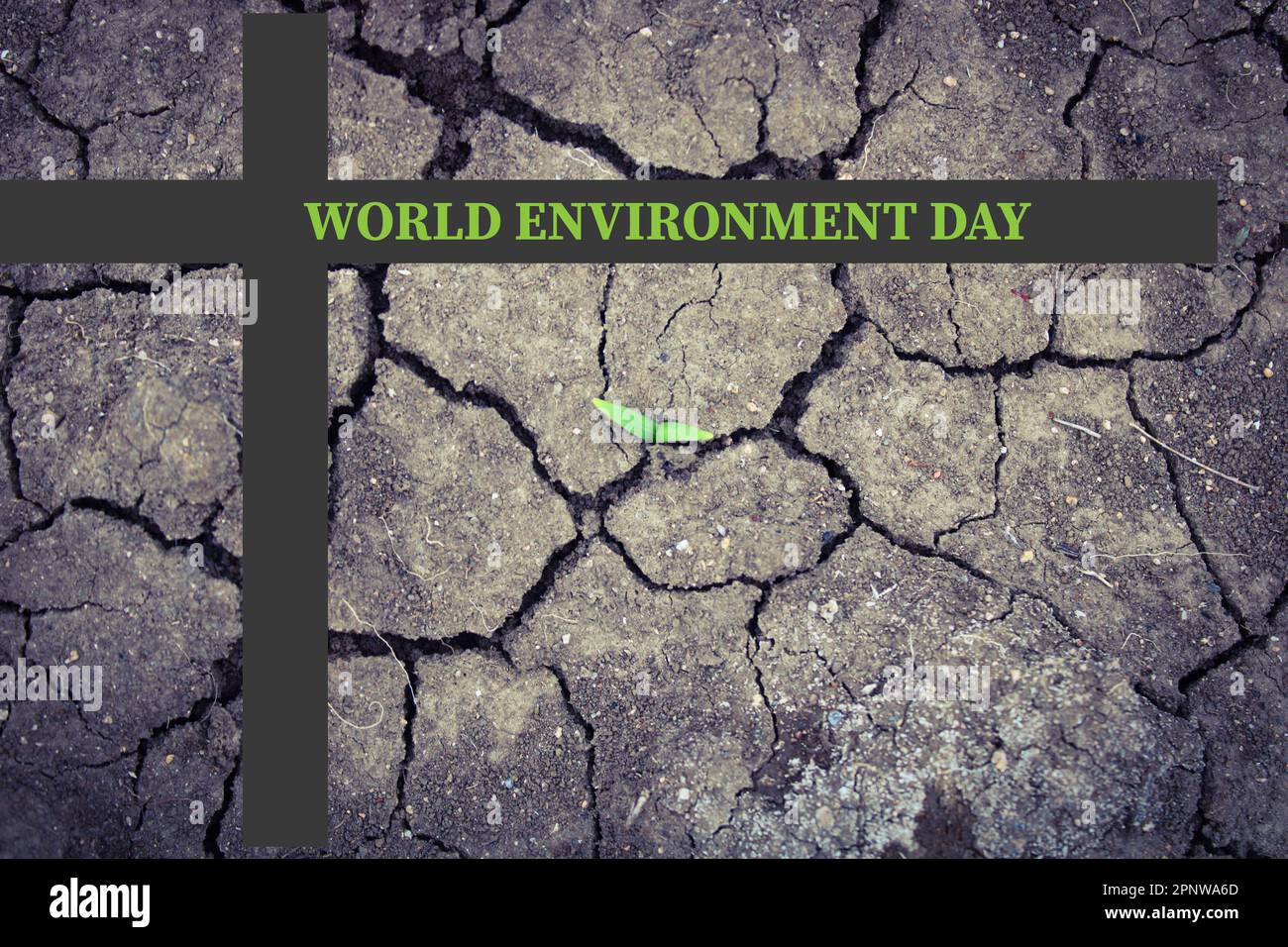 A cross on a cracked ground with the words world environment day ...