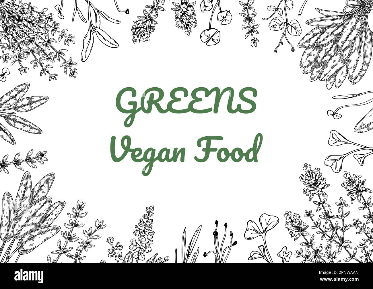 Herbs and green vegetables horizontal design. Hand draw background with ...