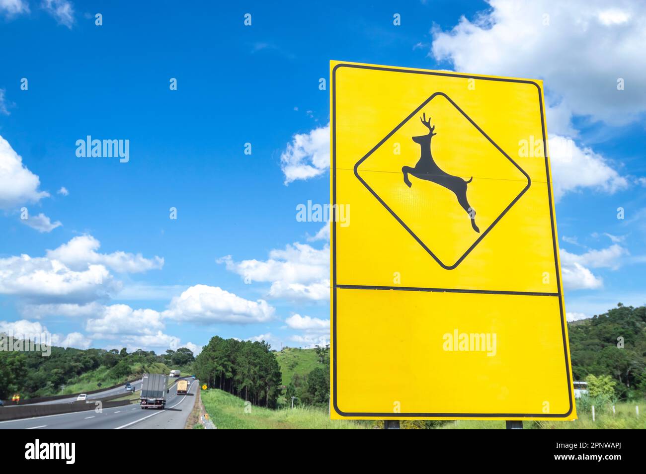 Sign indicating the risk of animals passing on the highway Stock Photo ...