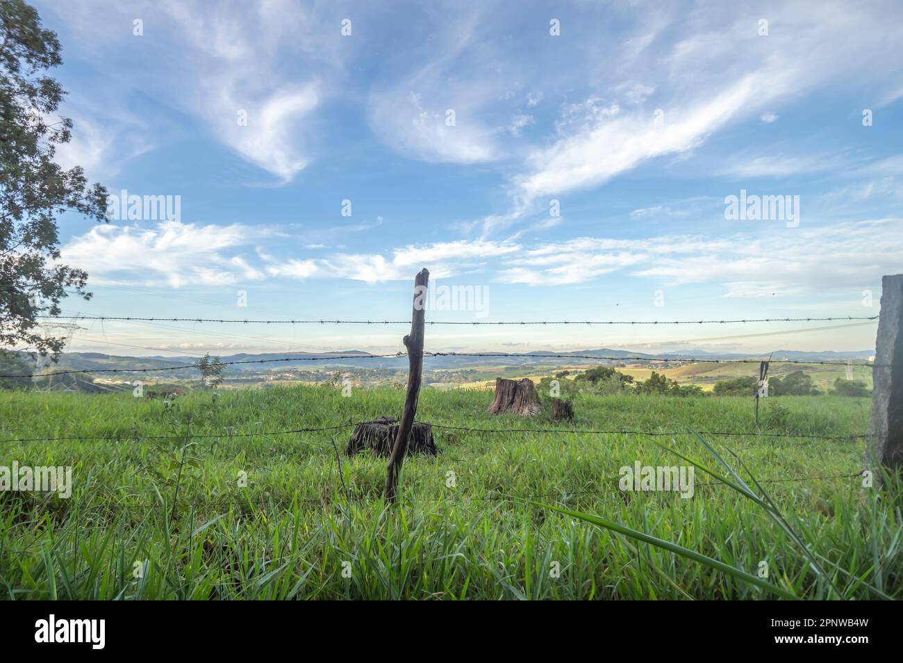 Landscape of pasture, plains with grass, late afternoon with clouds ...