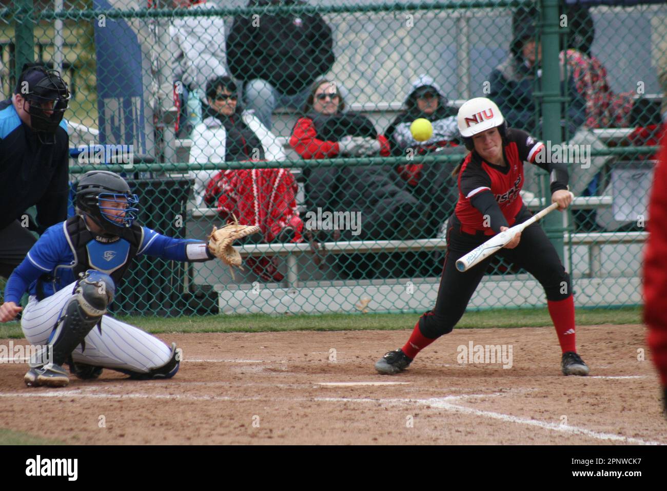 St louis university softball hi-res stock photography and images - Alamy