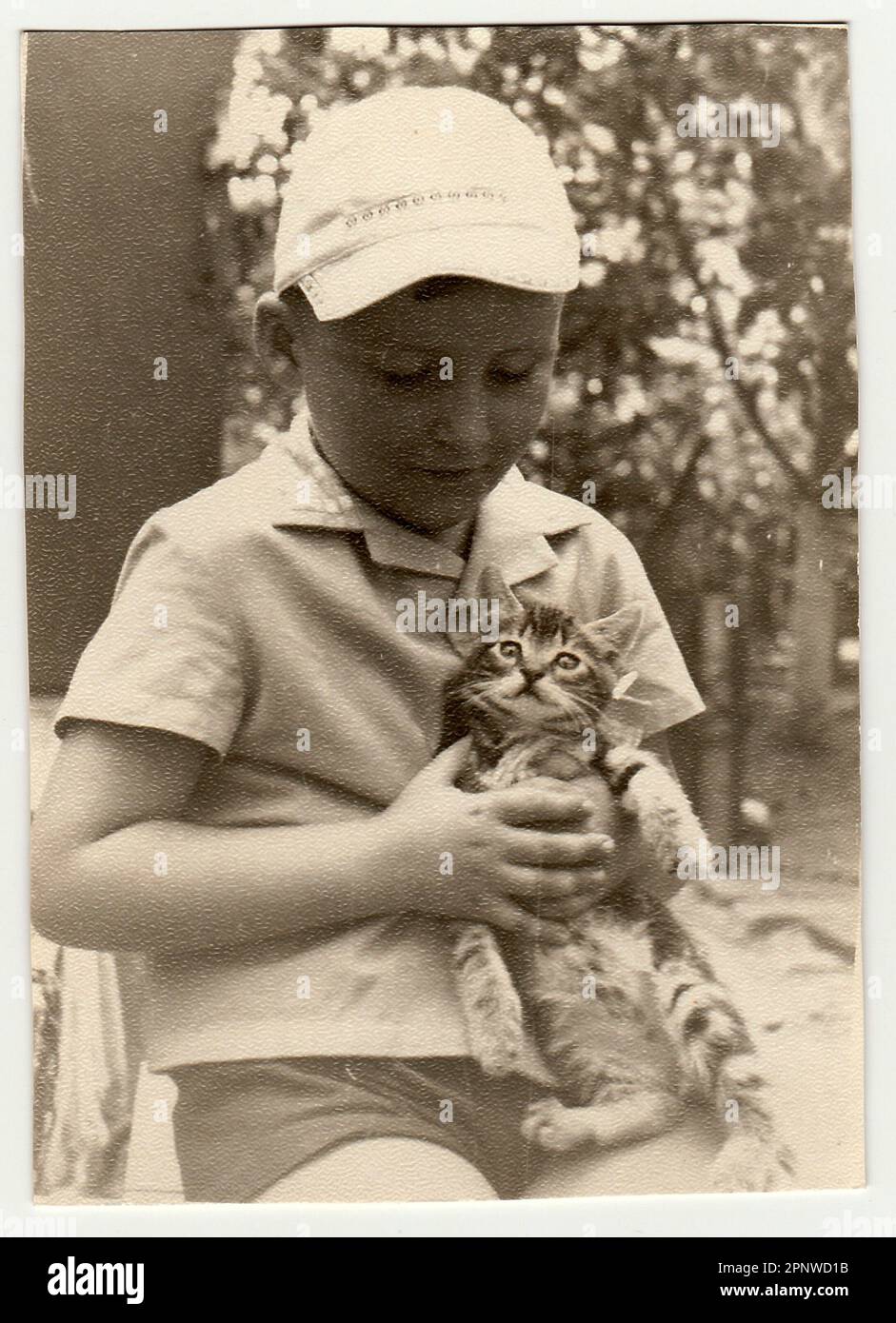 USSR - 1969: Vintage photo shows boy strokes cat Stock Photo - Alamy