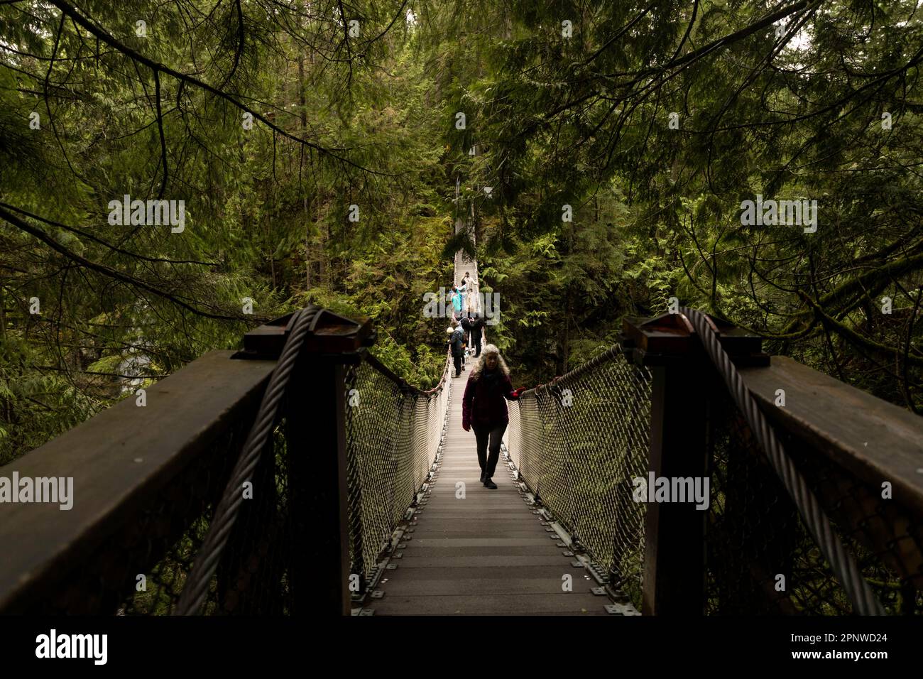 Visitors are seen on the Lynn Canyon suspension bridge just north of ...